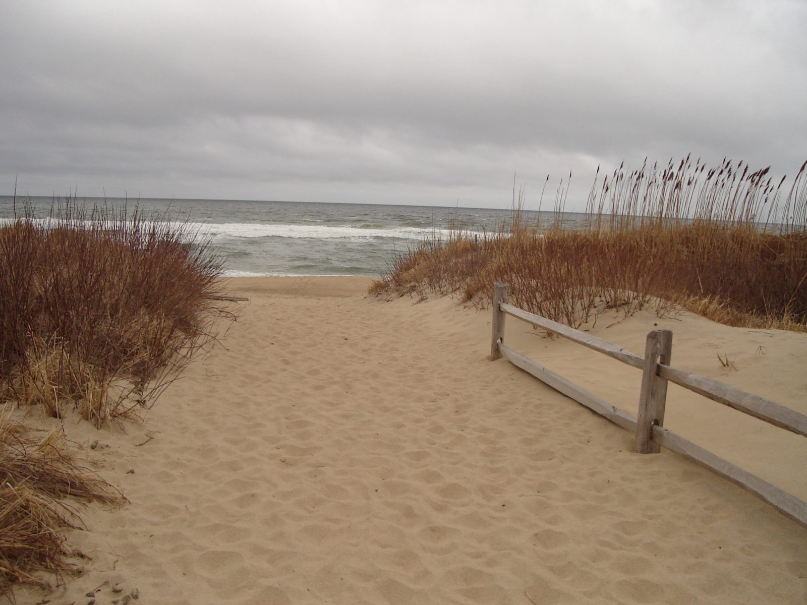 Cape Cod National Seashore in Winter - New England
