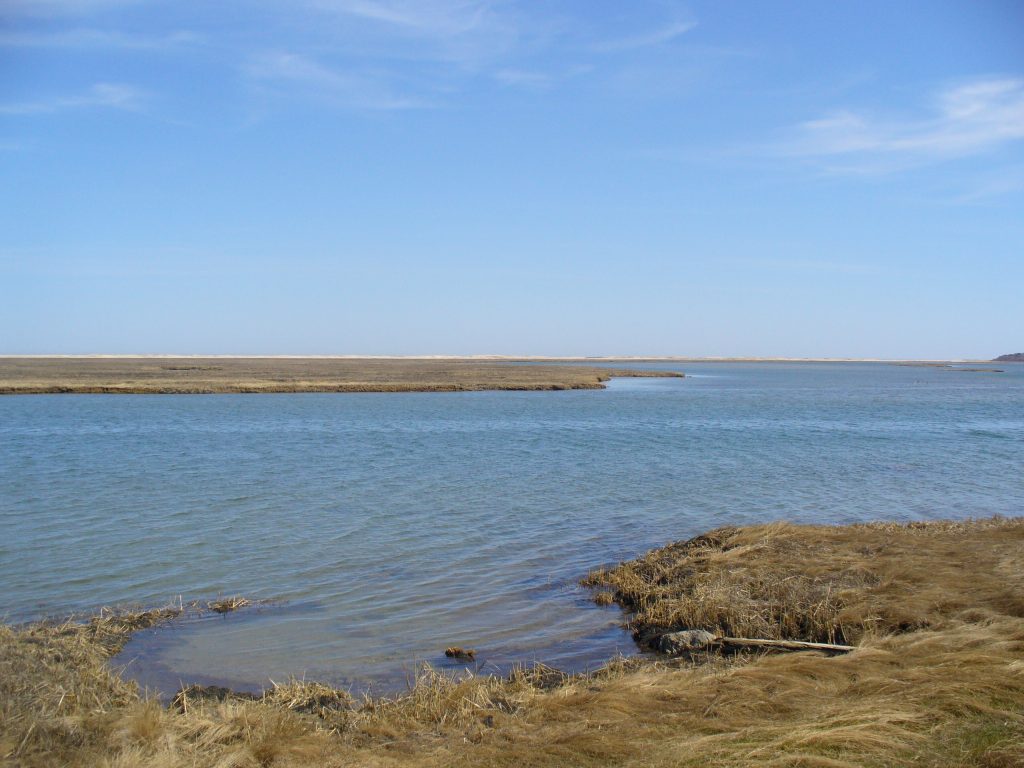 Springtime on Cape Cod - New England