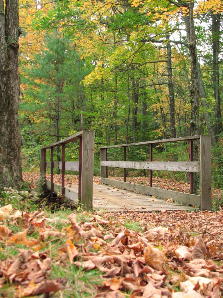 Spencer State Forest - New England