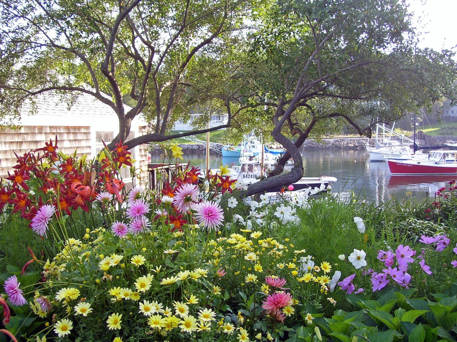 Summer in Perkins Cove