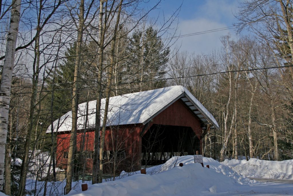 Winter Bridge