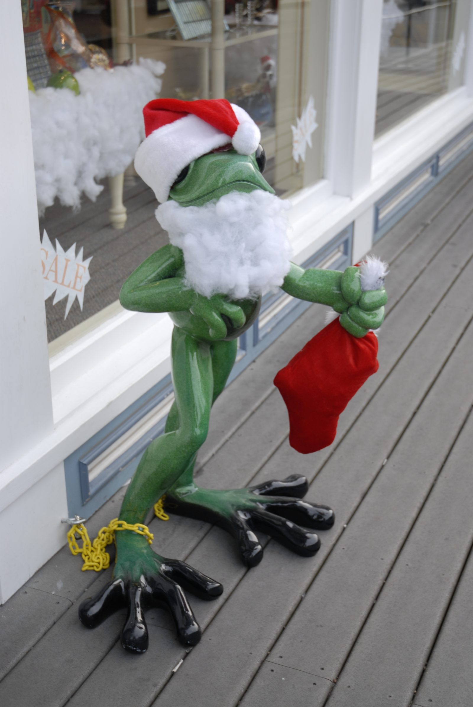 Santa Frog