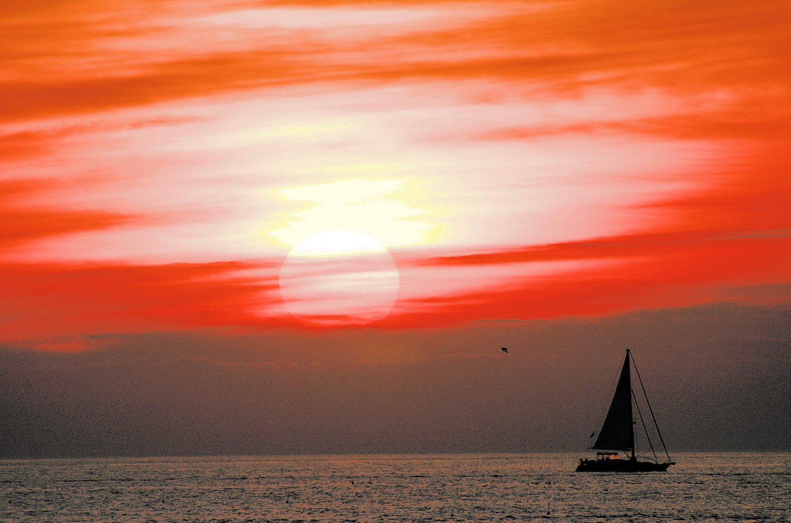 Red Sail - New England