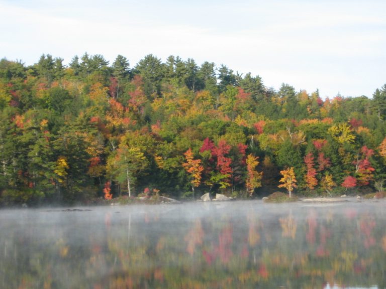 Waldon Pond