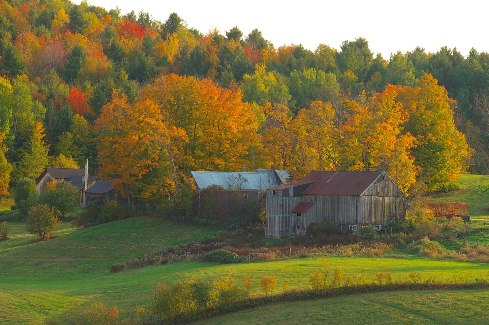 Reading Farm in Autumn