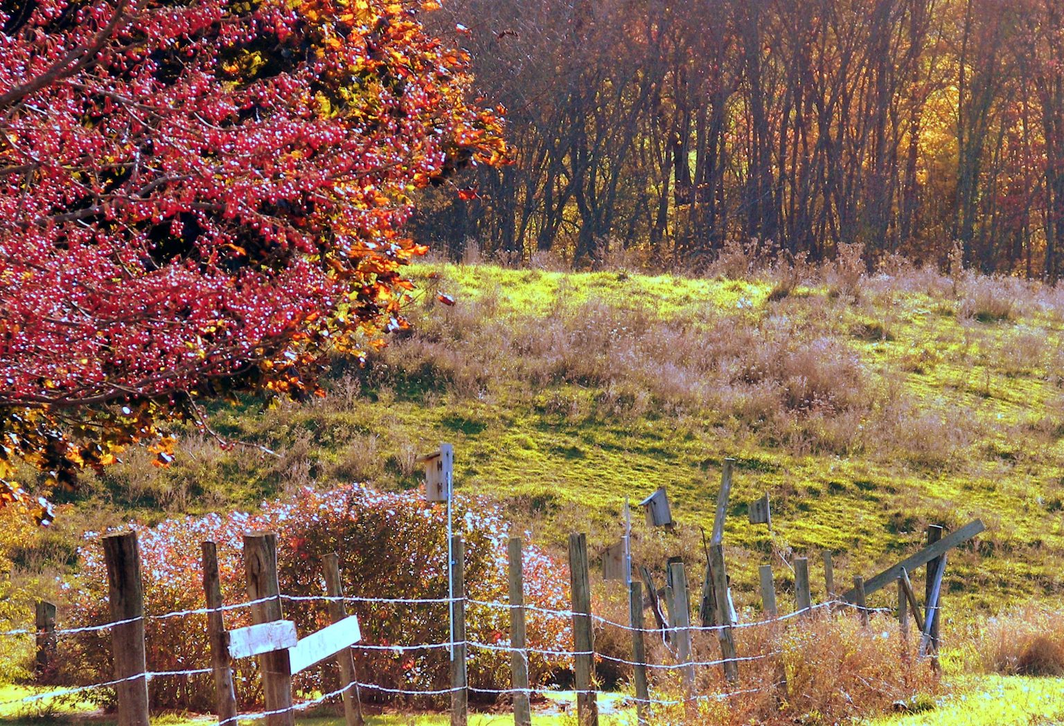 On the Fence - New England