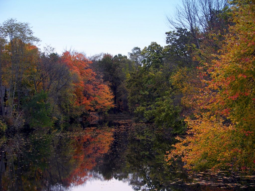 River Reflection