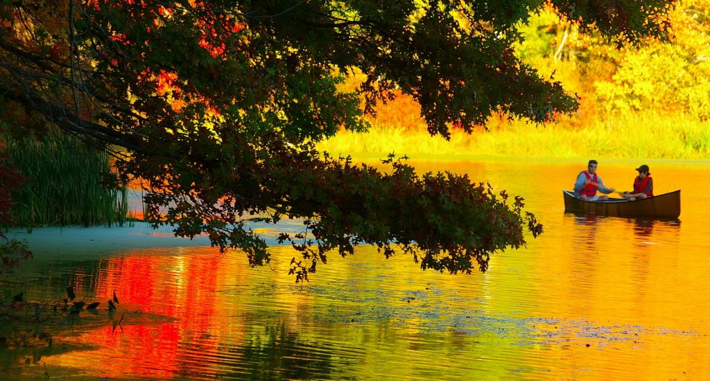 Fishing on Forge Pond