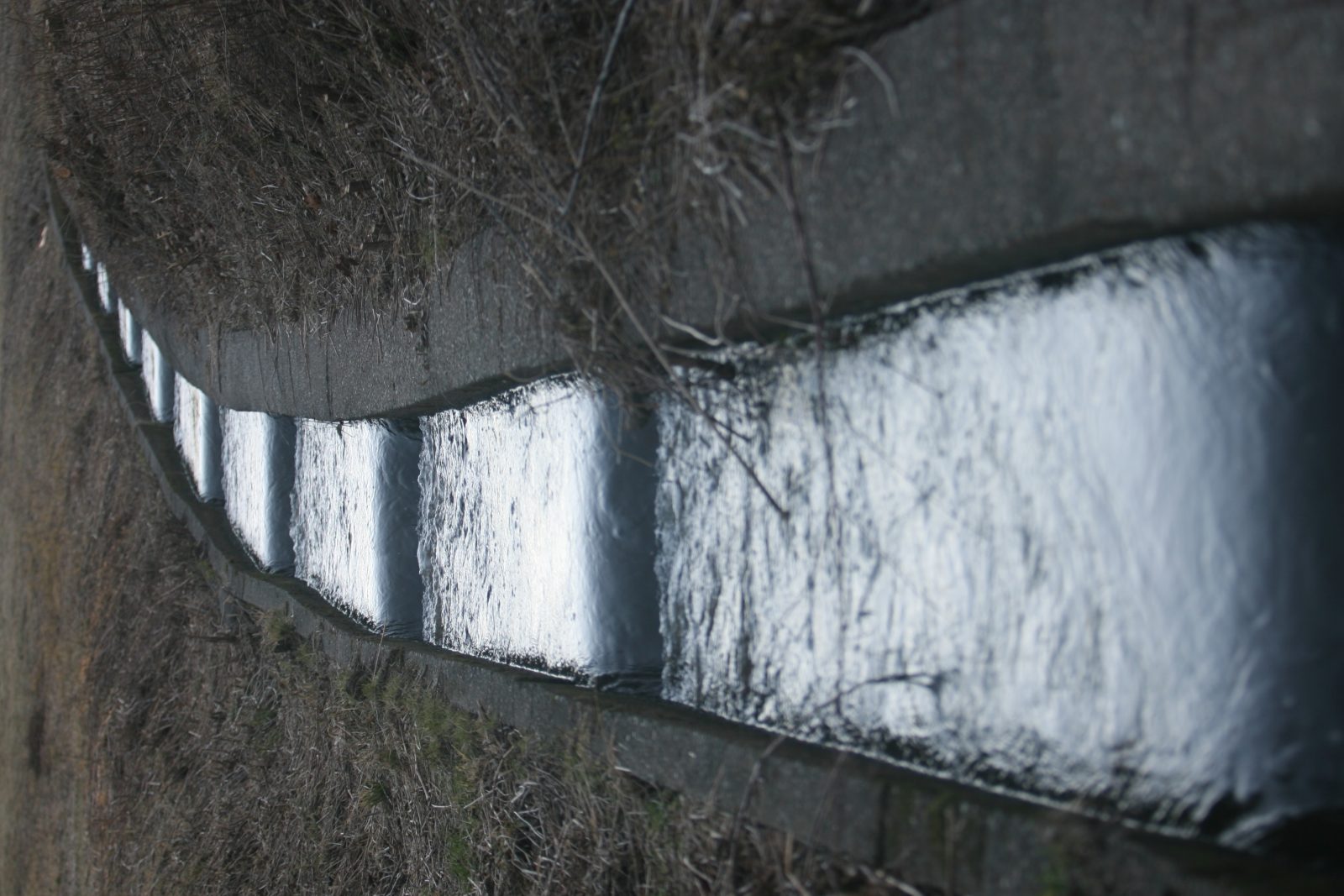 Fish Ladder