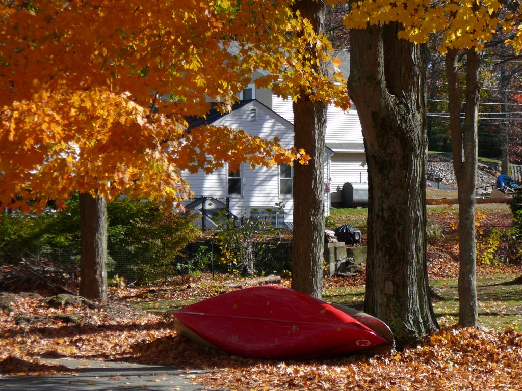 Colors of Fall - New England