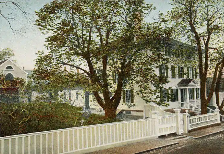 Ladd Trees Birch Trees On Navy With Orange Birds Birch Trees