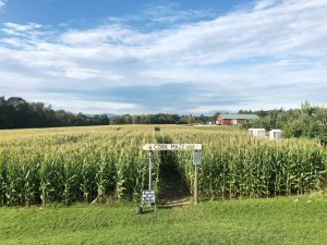 Best Corn Mazes in New England - New England