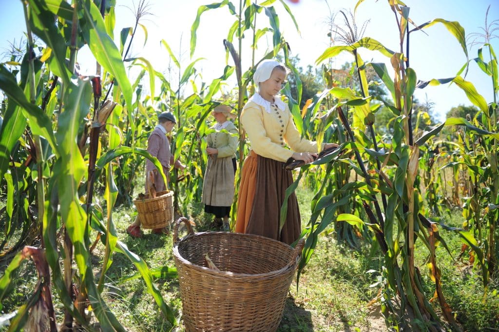 Celebrating 75 Years at Plimoth Patuxet Museums