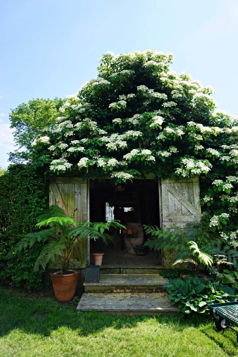 Why Snug Harbor Farm Is One of the Most Magical Places in Maine
