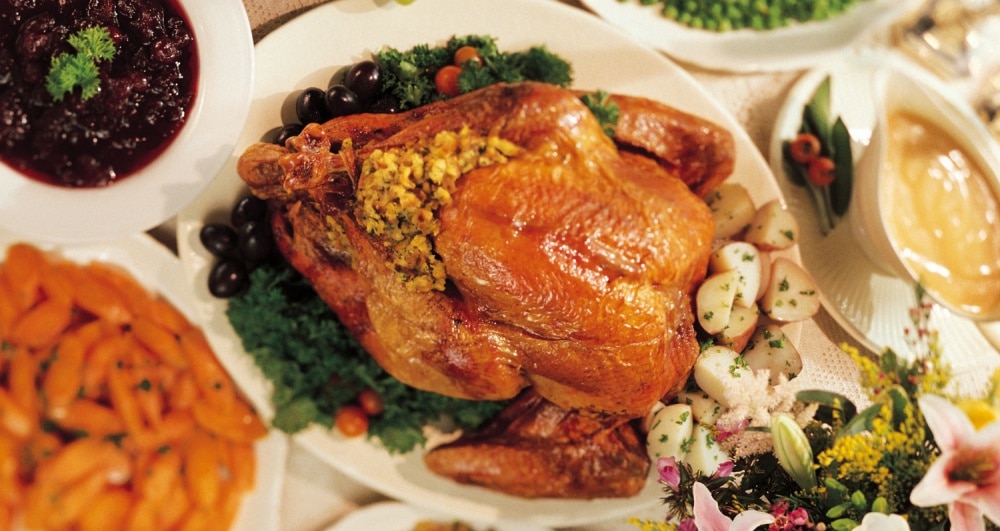 Turkey FAQ | A Thanksgiving Turkey Cheat Sheet - New England