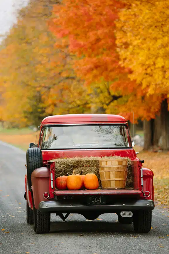 Where to See Fall Foliage This Weekend | 2024